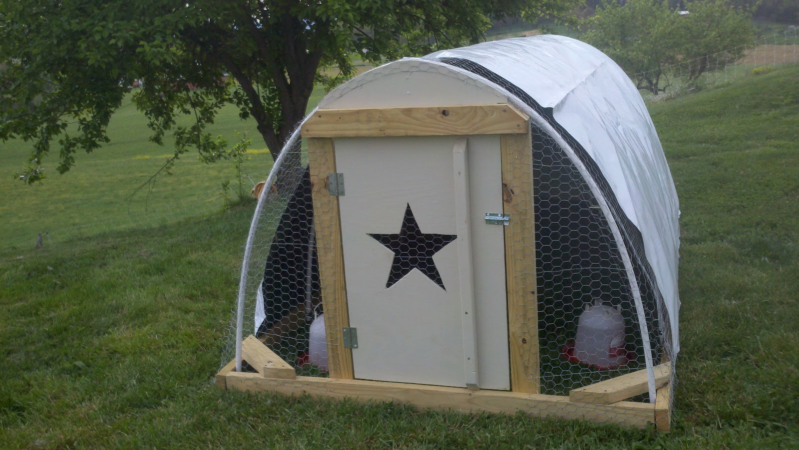 A Couple of Farmers At Maple Lawn Farm: The Scoop on the Hoop Coop!