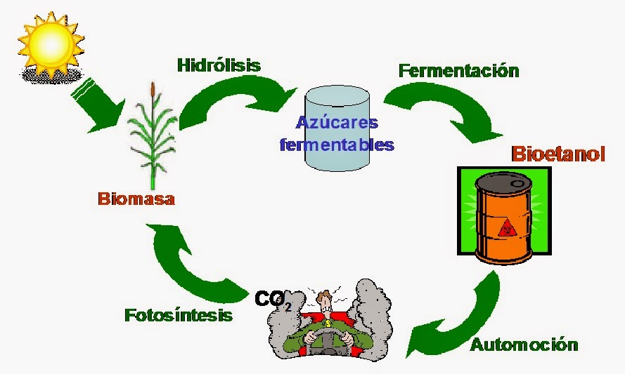 Videocursos en Ingenieria: Obtención del Bioetanol