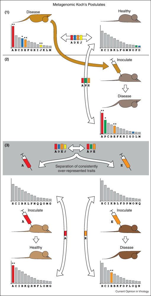 Virus Musings: The end of Koch's postulates