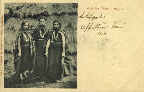 Η ΠΕΡΙΠΤΩΣΗ ΤΩΝ ΑΡΑΟΥΚΑΝΩΝ ΤΗΣ ΧΙΛΗΣ.