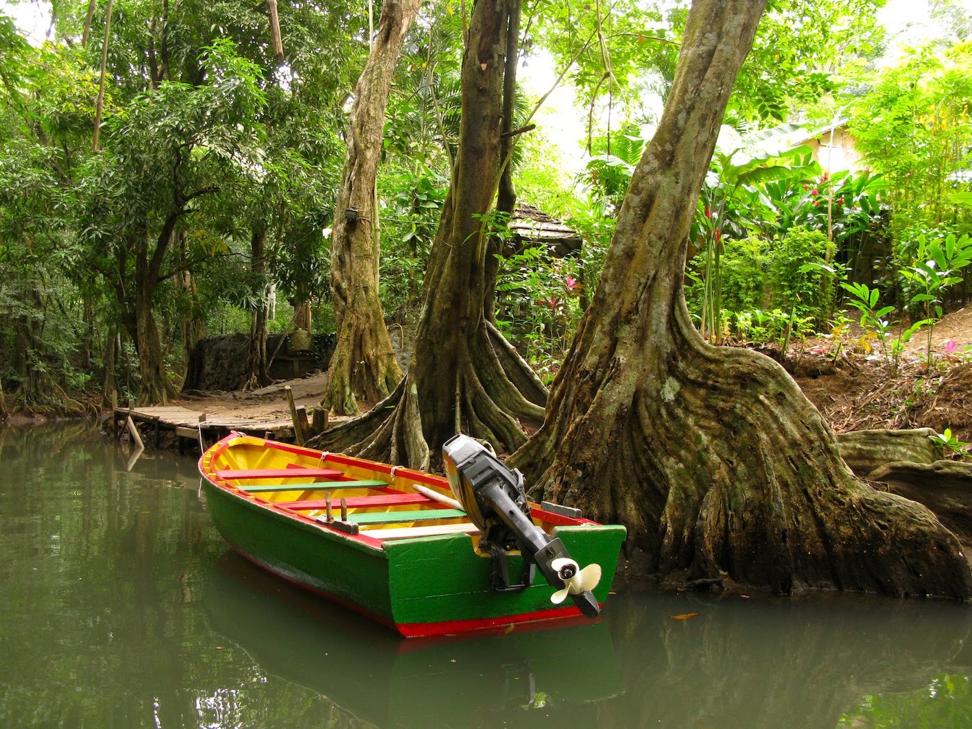 Faraway: Indian River Dominica