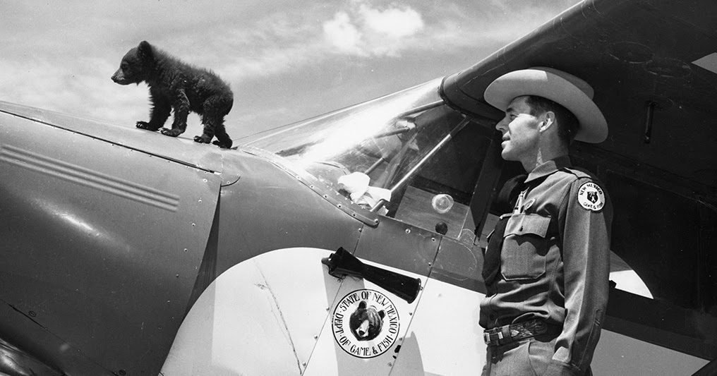Just A Car Guy: Smokey Bear and Ray Bell, in 1950