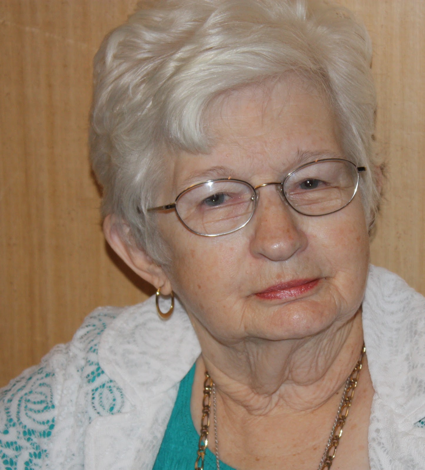 Walker Report - Shedding Light on Bexar County: More photos on NW Dems ...