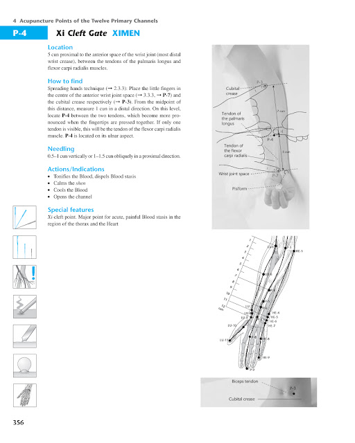 Acupuncture Masters: Acupuncture Points Database - Pericardium Channel