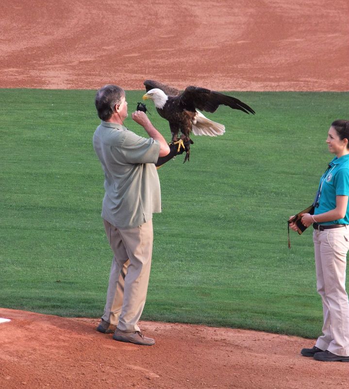 close to normal: Heartland Hawks Baseball 2011