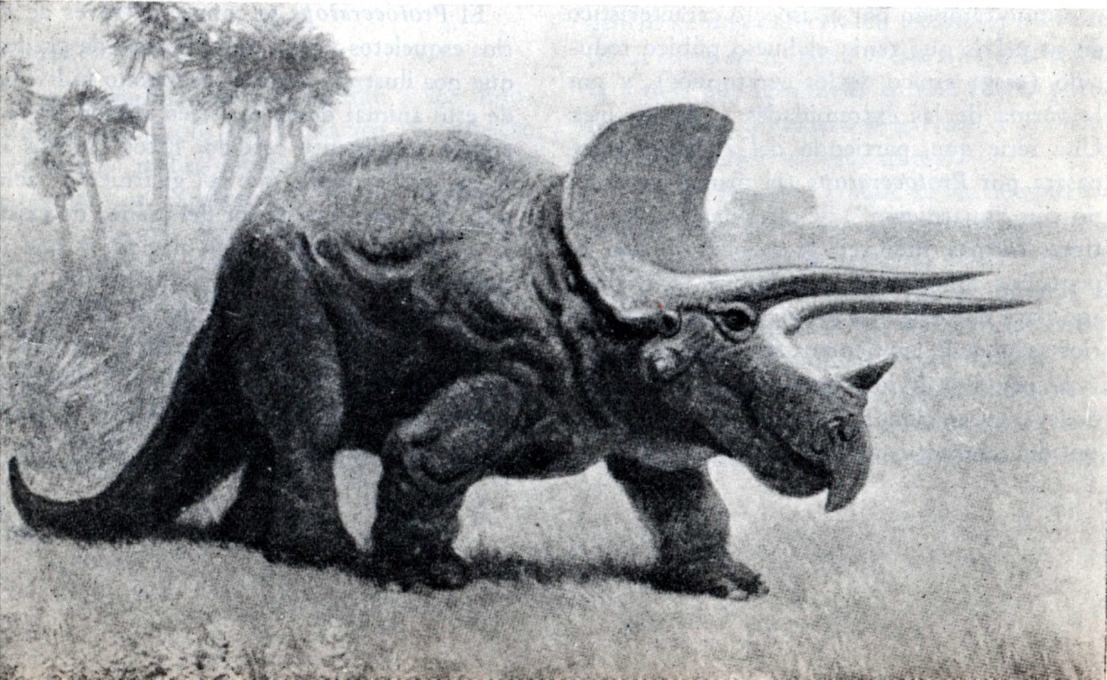 IMAGE(I)NARTE: el arte de la imaginación: CHARLES R. KNIGHT ...