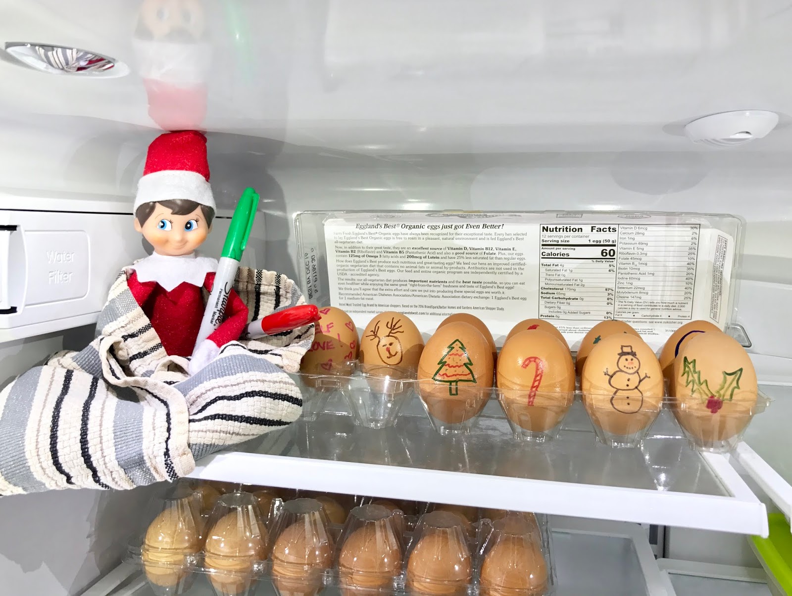 ELF ON THE SHELF IDEAS | JordAsh