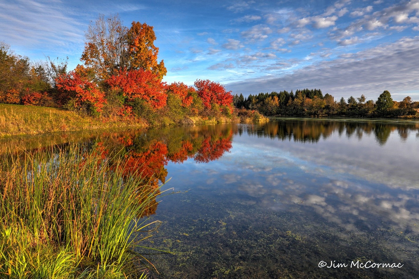 Ohio Birds and Biodiversity: October 2018