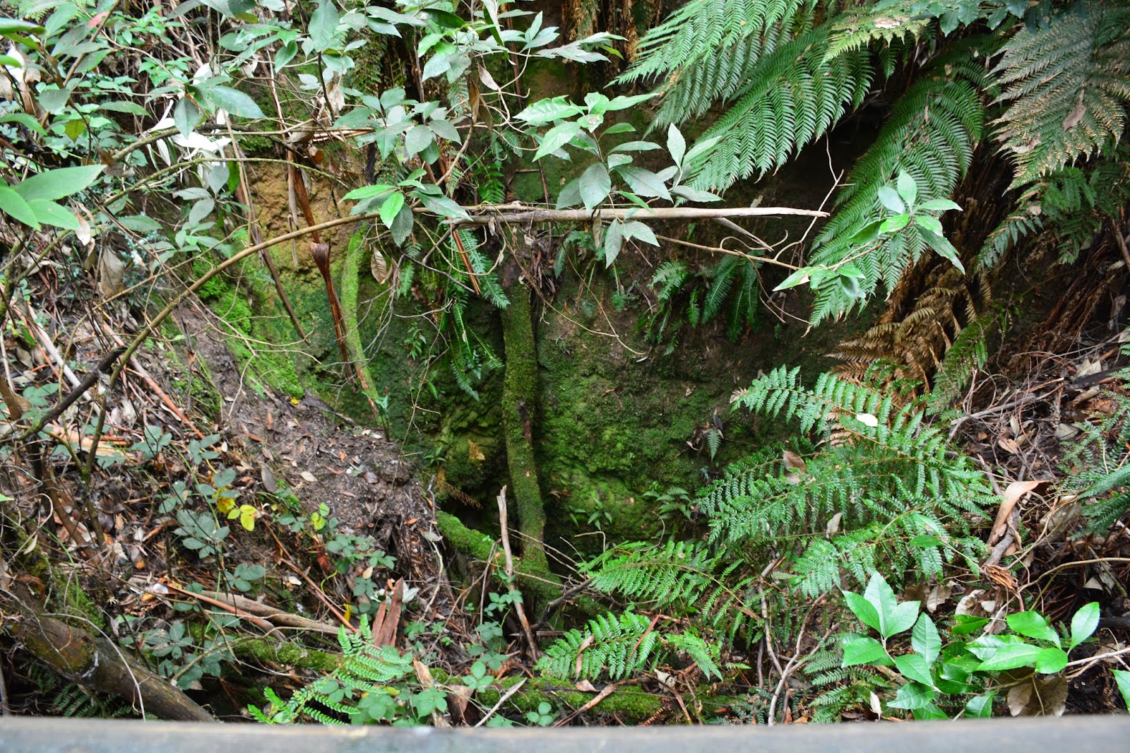 walkabouters club of victoria inc: Whipstick Loop, Blackwood