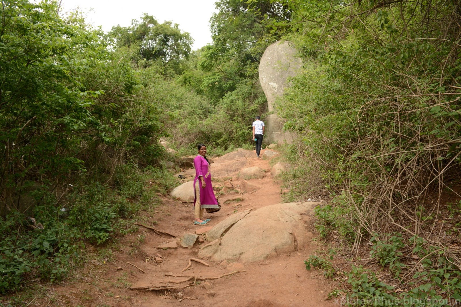 Our Travel Tales: Weekend Getaway 55: Avalabetta Trek