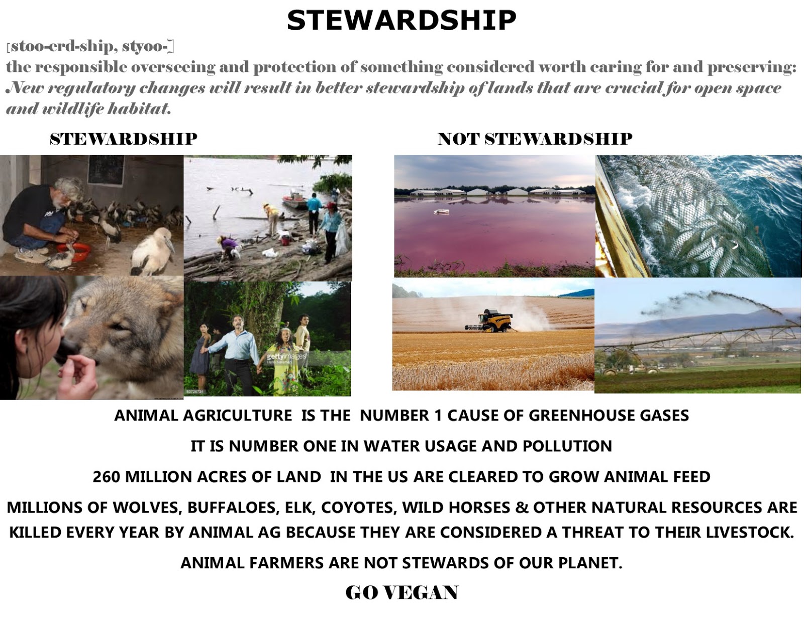 Joy of Vegan: ENVIRONMENTAL MEMES TO SHARE