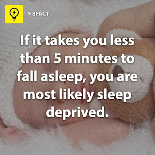 facts : If it takes you less than 5 minutes to fall asleep,you are most ...
