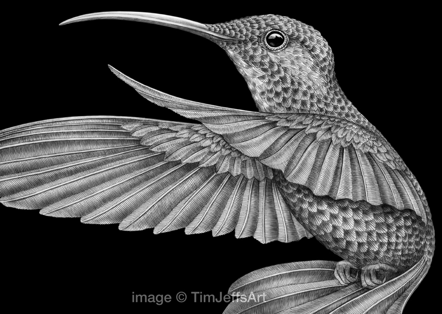 Tim Jeffs - Alchetron, The Free Social Encyclopedia