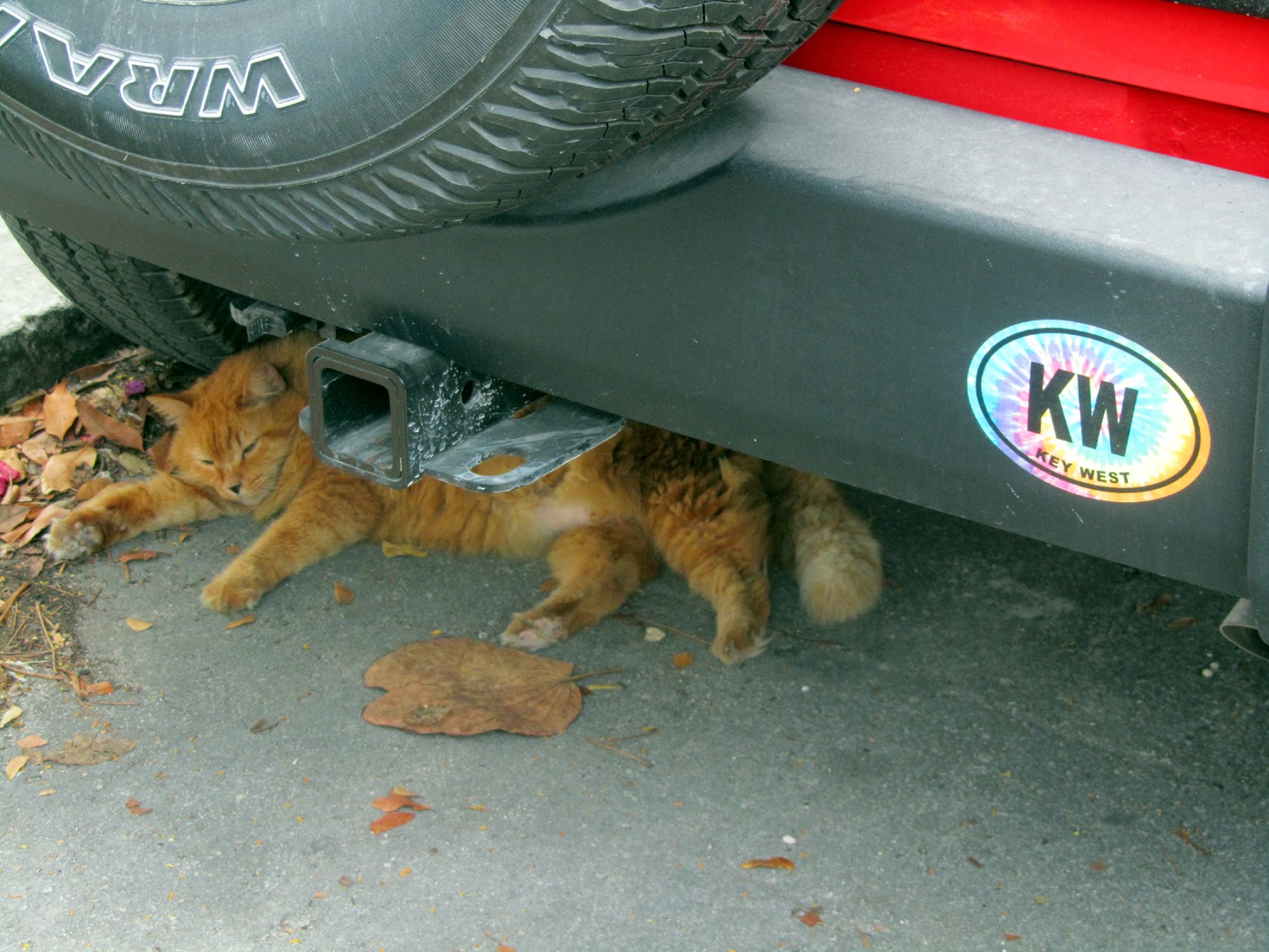 Art In Stitches: New Gallery Representation and Workshops in Paradise ...