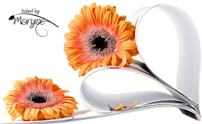 PSP Tubes & créations de Maryse: Tubes St Valentin