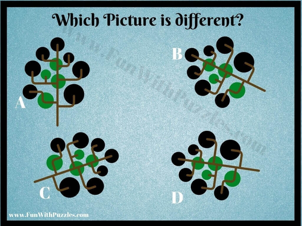 Puzzles for Teens | Difference Challenge Fun Picture Puzzles