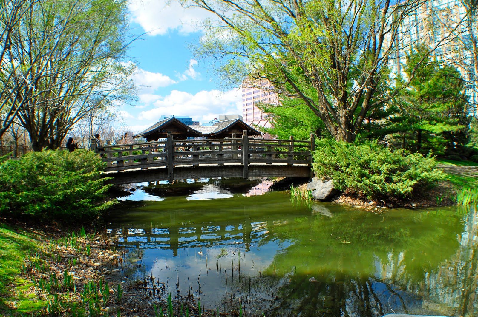 This Randomness: Litratong Pinoy - Liwasan (Park)