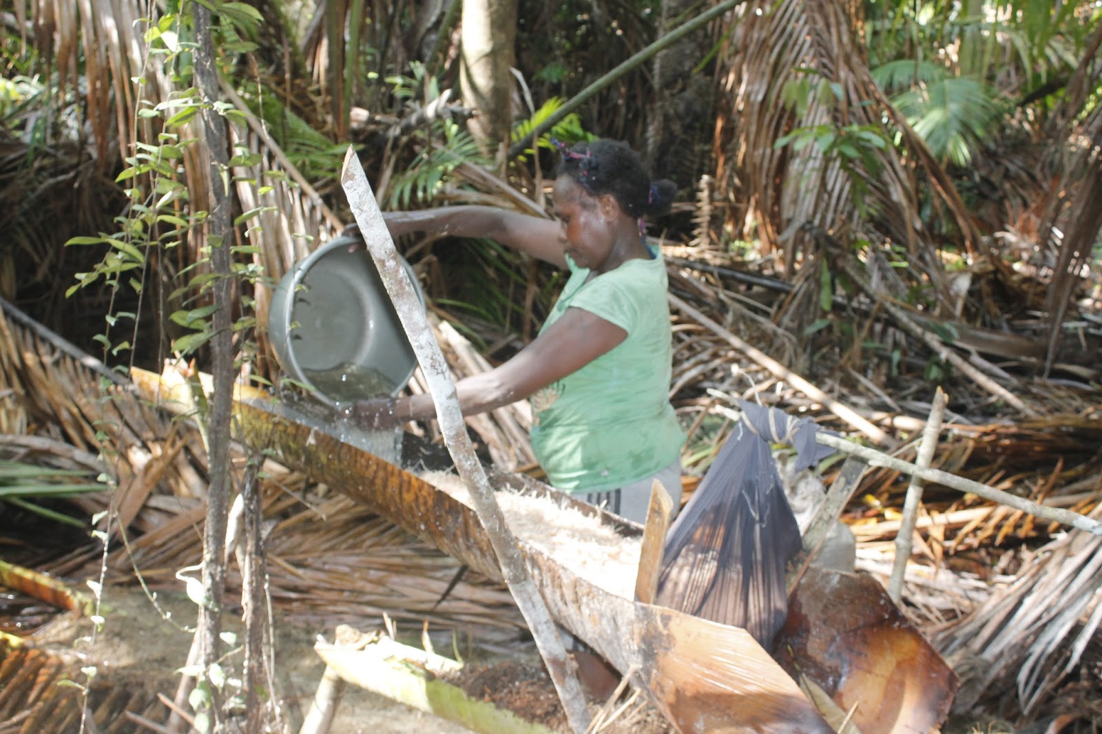 PDD AK KABUPATEN SORONG SELATAN : Sagu dalam Kehidupan Masyarakat Papua ...
