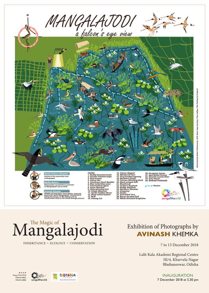 Green Humour: Mangalajodi- a Falcon's Eye View