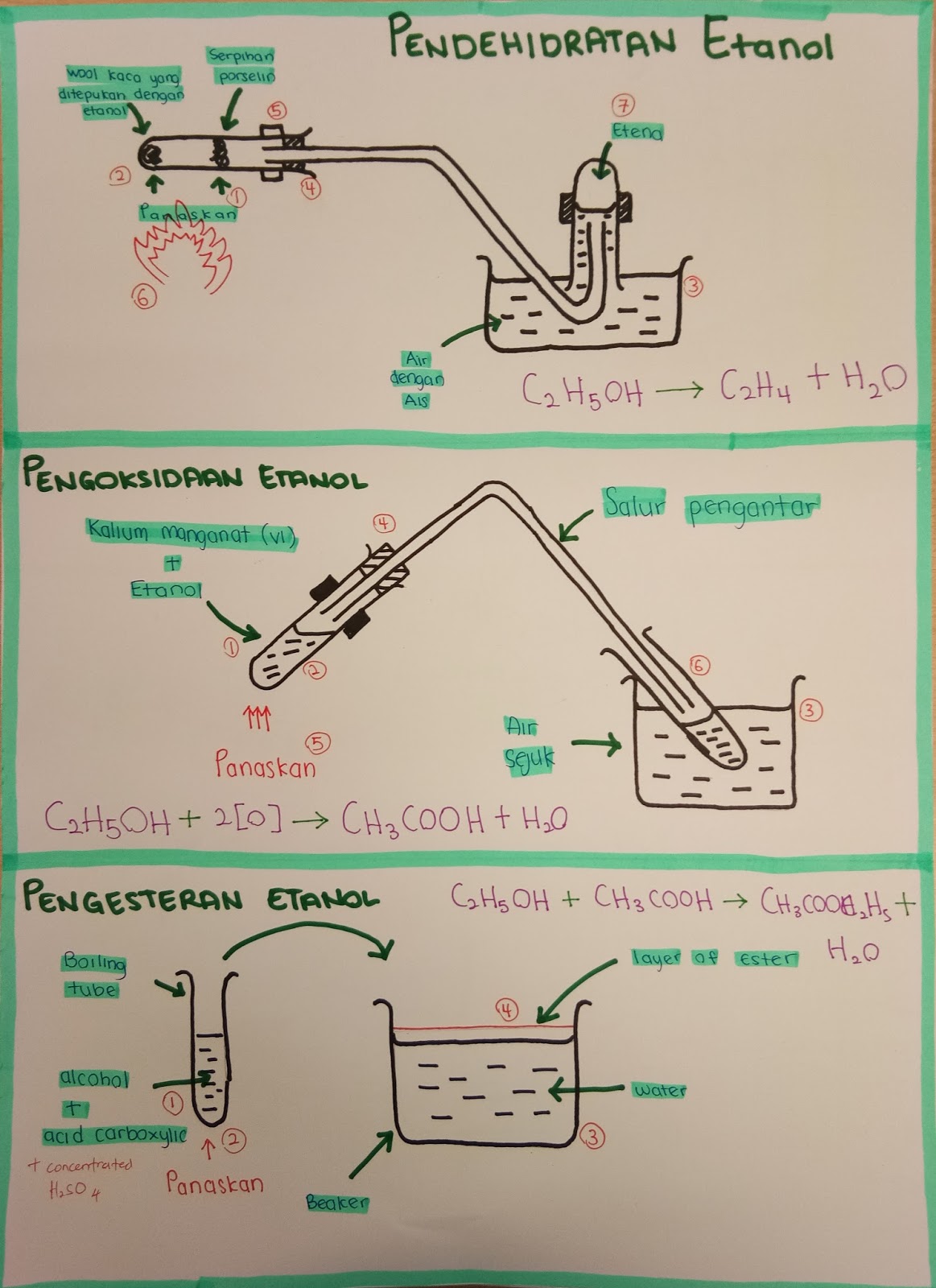 Cikgu Nurul : Tindak Balas Alkohol (Nota Pelajar)