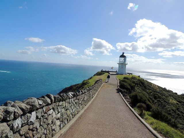 THE ROAD TAKEN : Cape Reinga/Te Rerenga Wairua and the Te Paki Sand Dunes