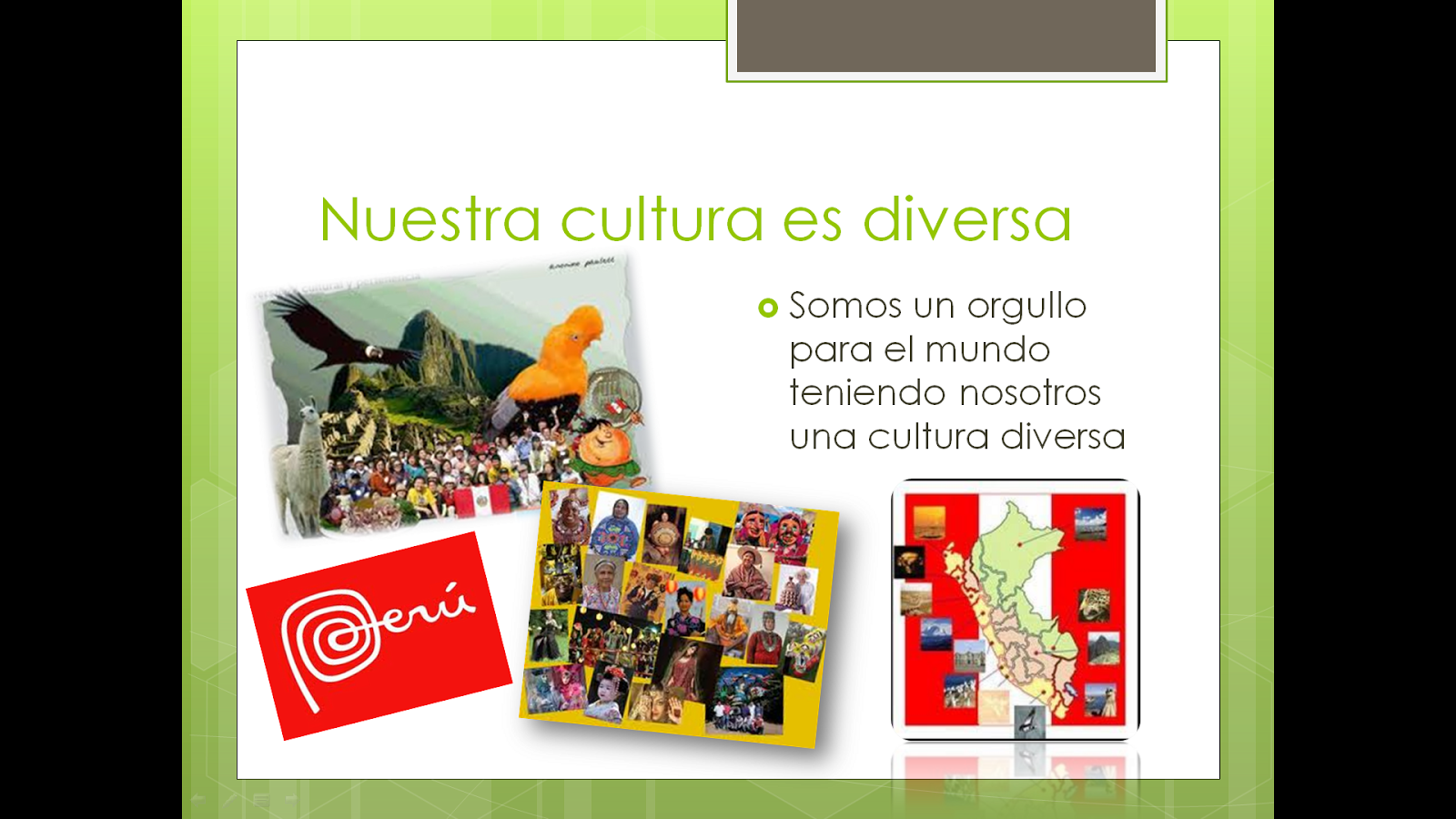 Preservando lo Nuestro: DIVERSIDAD CULTURAL EN EL PERU