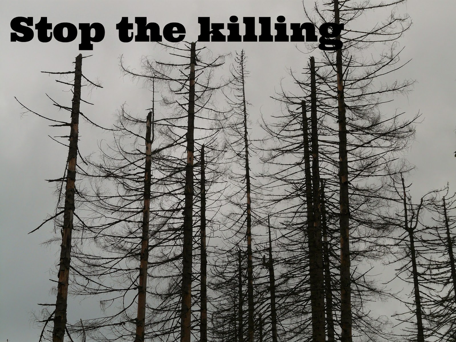 News, Print, Poetry: Stop the Killing