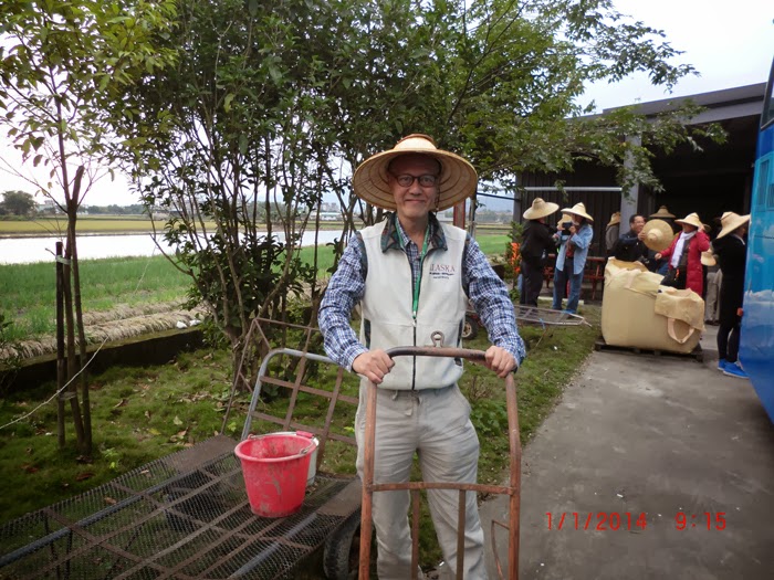 Blog To Express: Play With Onion Pancake