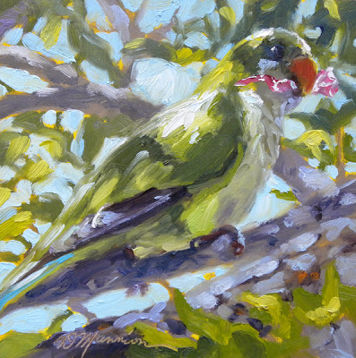 Diane Mannion: Quaker Parrot
