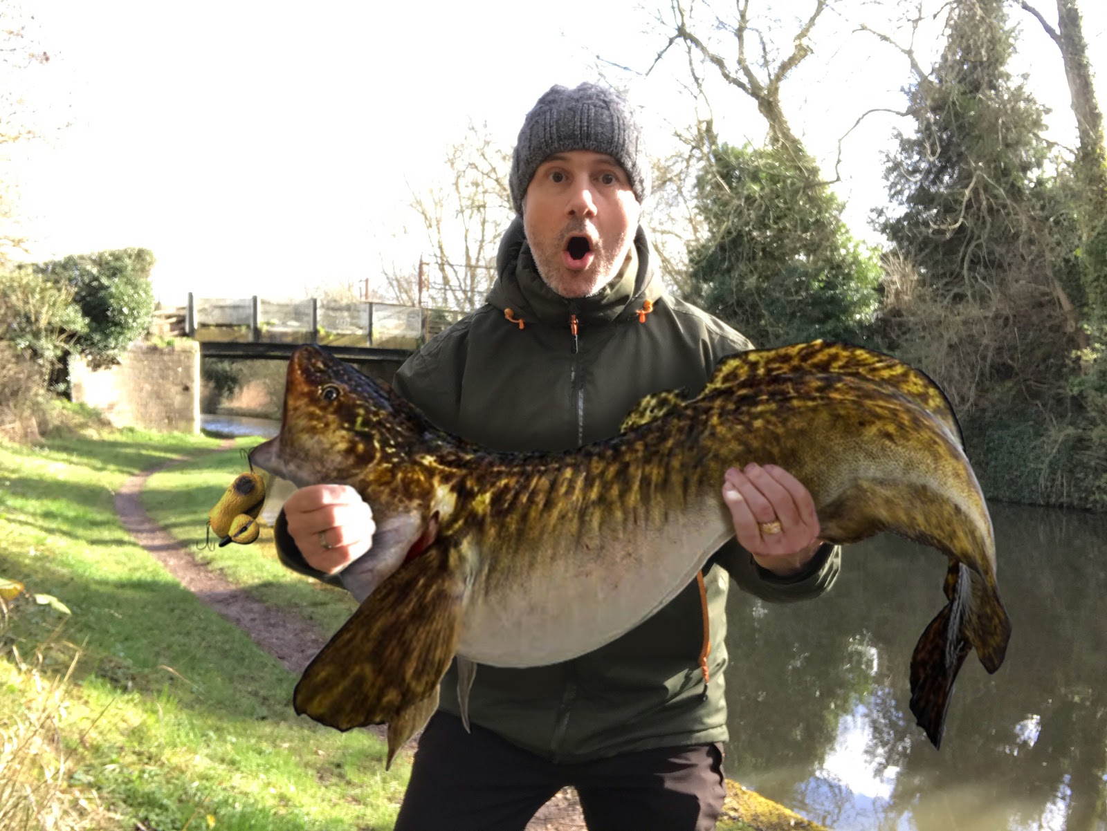 Piscatorial Quagswagging: The Cut Colossus – The Quest for the Pintail ...