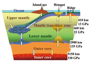 There are stable hydrous water bearing minerals 1000 kilometers deep in ...