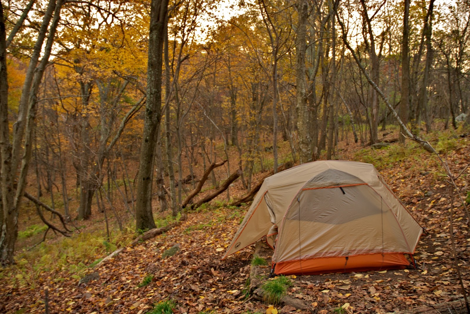 AT Hike: Rock Spring Hut to Thornton Gap – Of The Woods…