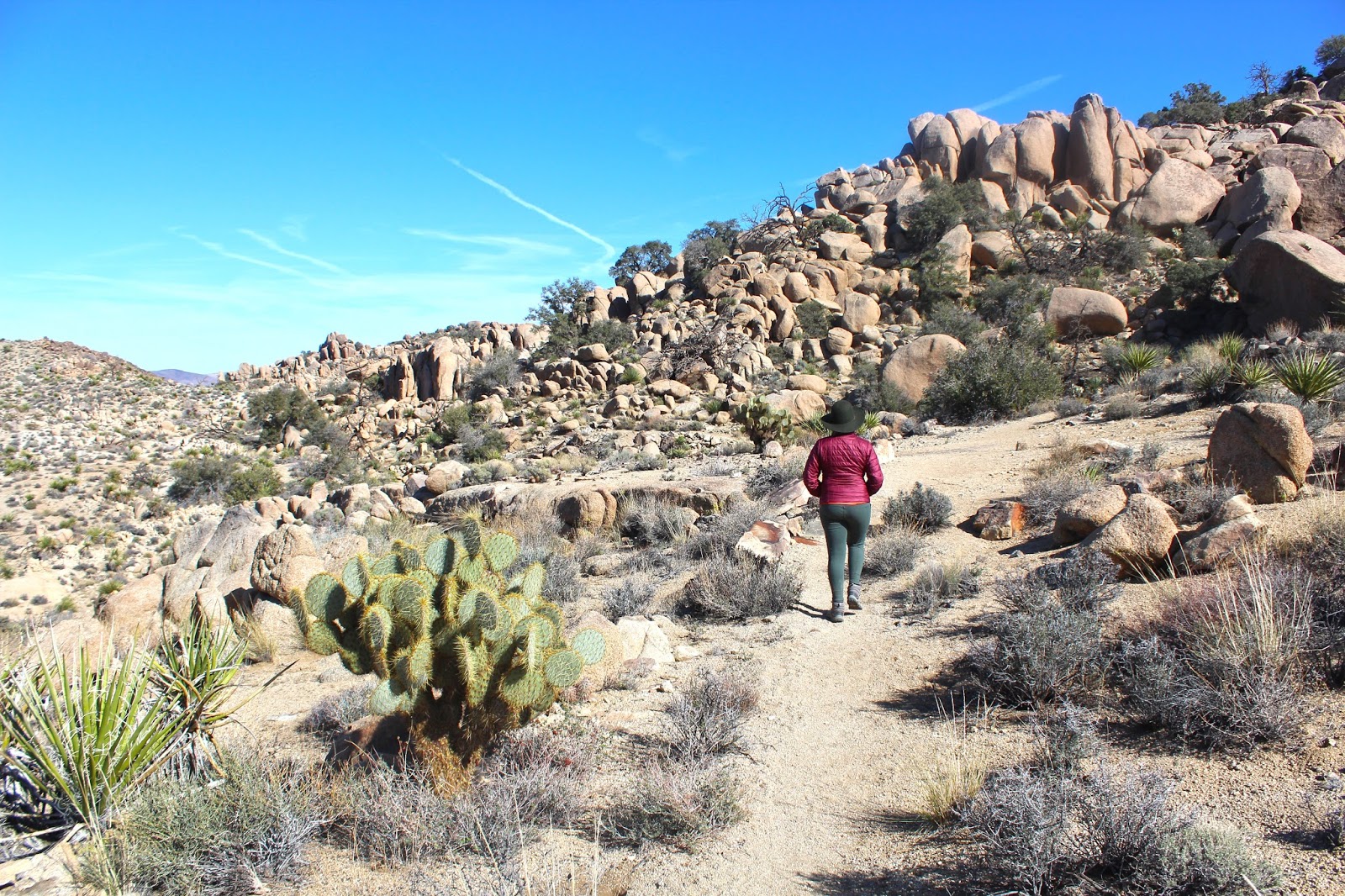 Making Restorations: a secret hike in Joshua Tree