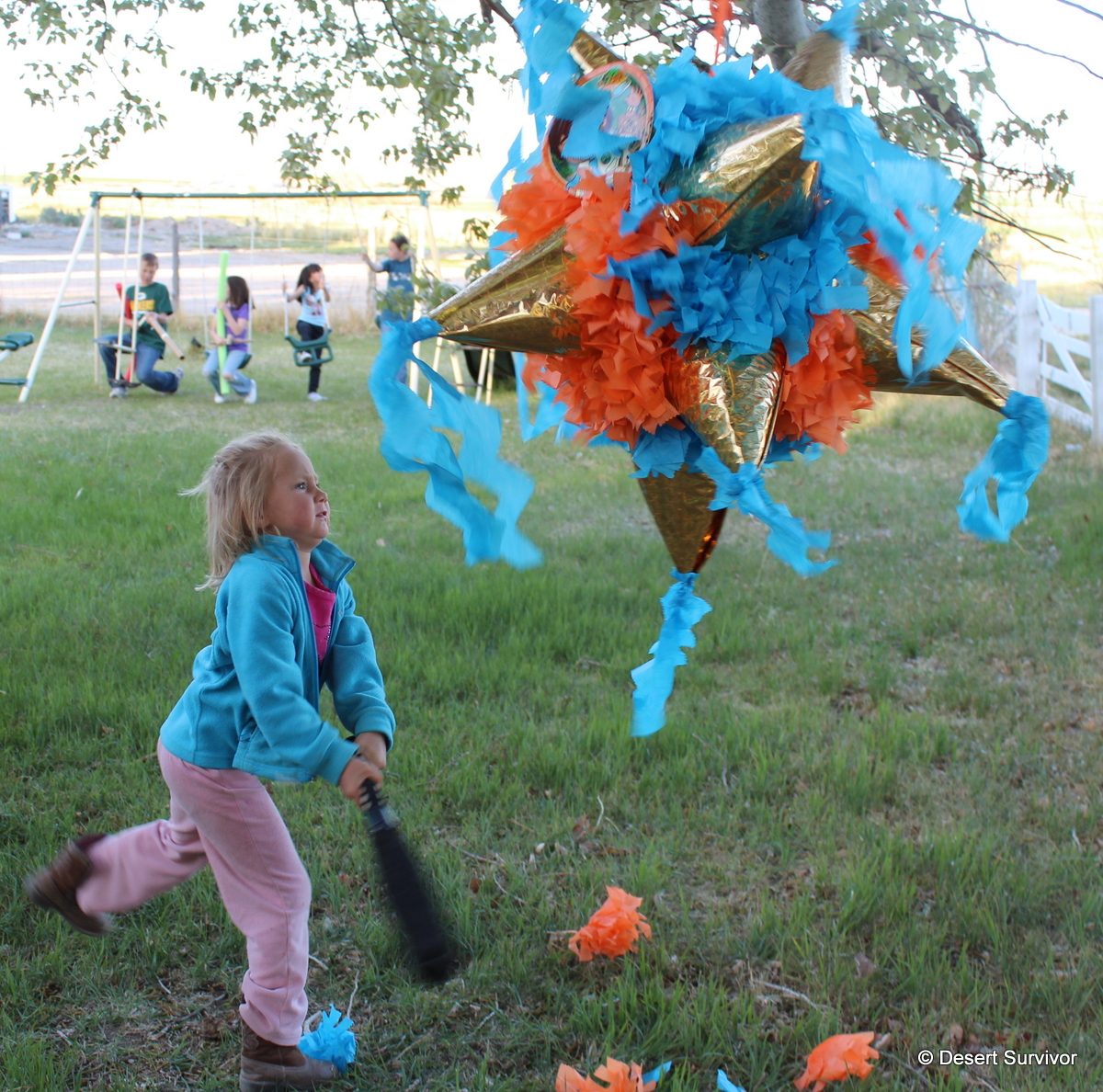 Desert Survivor: A Birthday Celebration