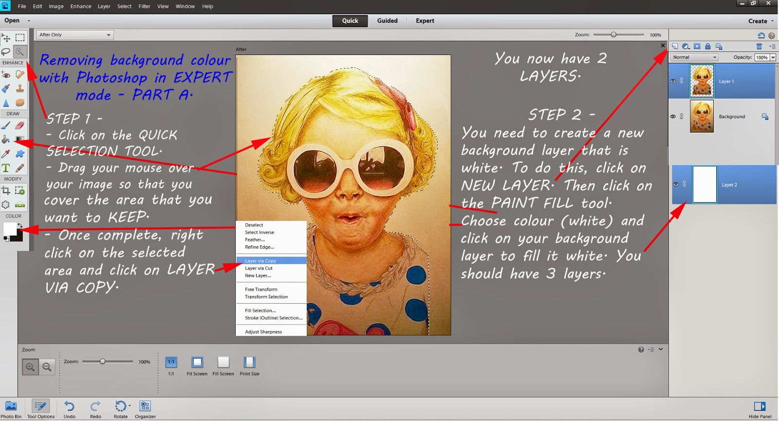 The 52-Week Illustration Challenge: learn: Photoshop Elements and ...