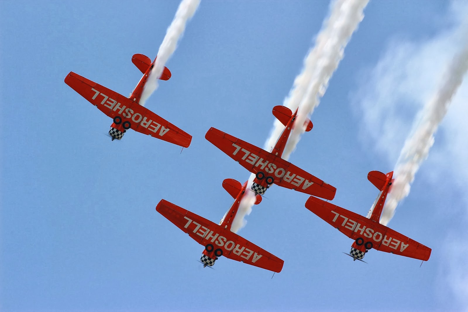 The Aero Experience: Winning Picks: The Aero Experience Contributor Leo ...