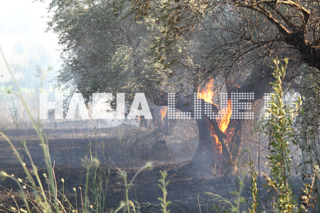 ΑΝΤΙΣΤΑΣΙΑΚΟ ΔΕΛΤΙΟ: ΕΚΤΑΚΤΟ:ΝΕΑ ΠΥΡΚΑΓΙΑ ΣΤΟΝ ΑΓΙΟ ΙΩΑΝΝΗ ΠΥΡΓΟΥ ...