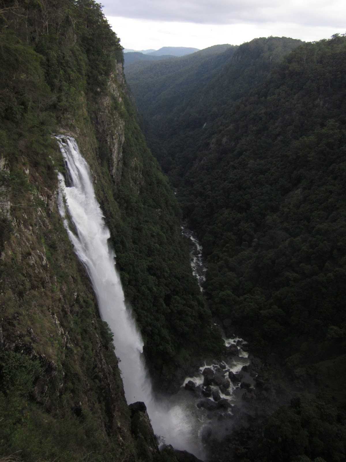 Bongbong's Adventures in Oz: Potoroo & Ellenborough Falls