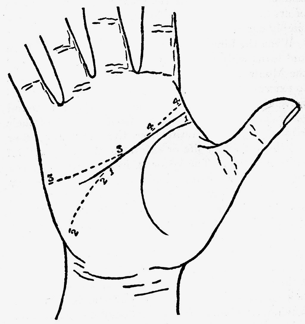 Palmistry Guide: Lines of head and its formations