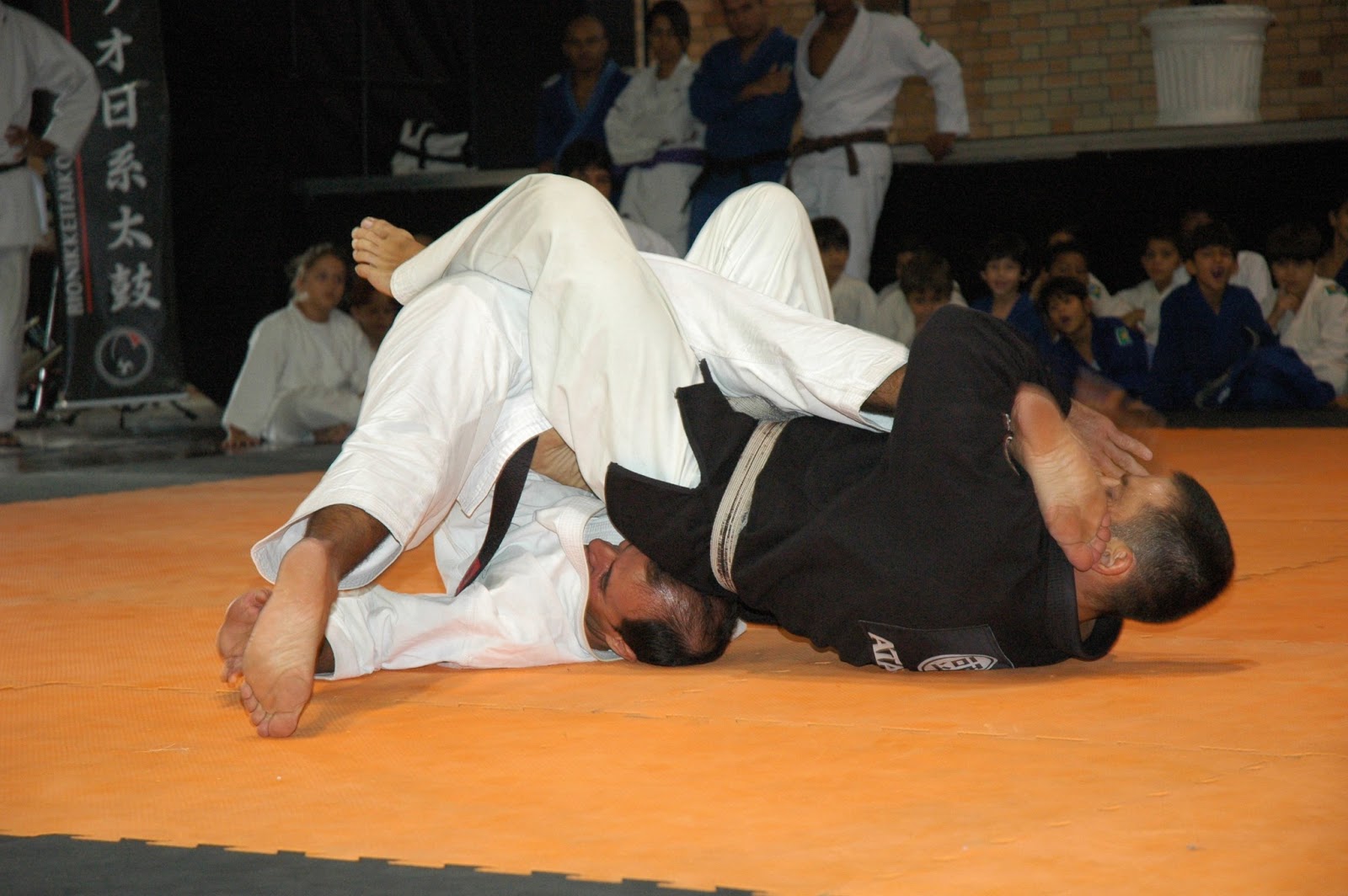Karate Jutsu: Estrutura do Karatê Jutsu.