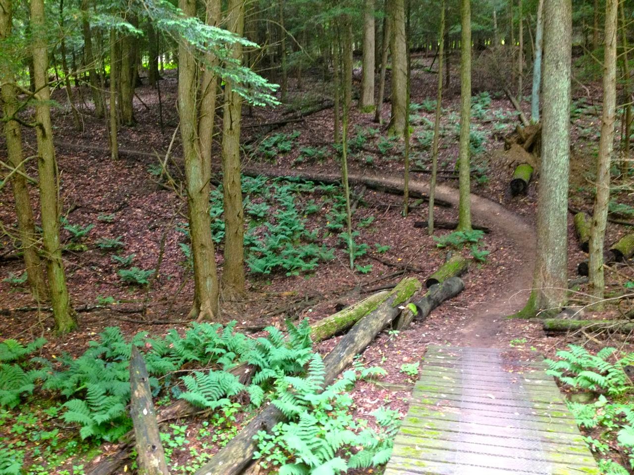 Tim C. Smith: Mohican Trail 100 Mile Run