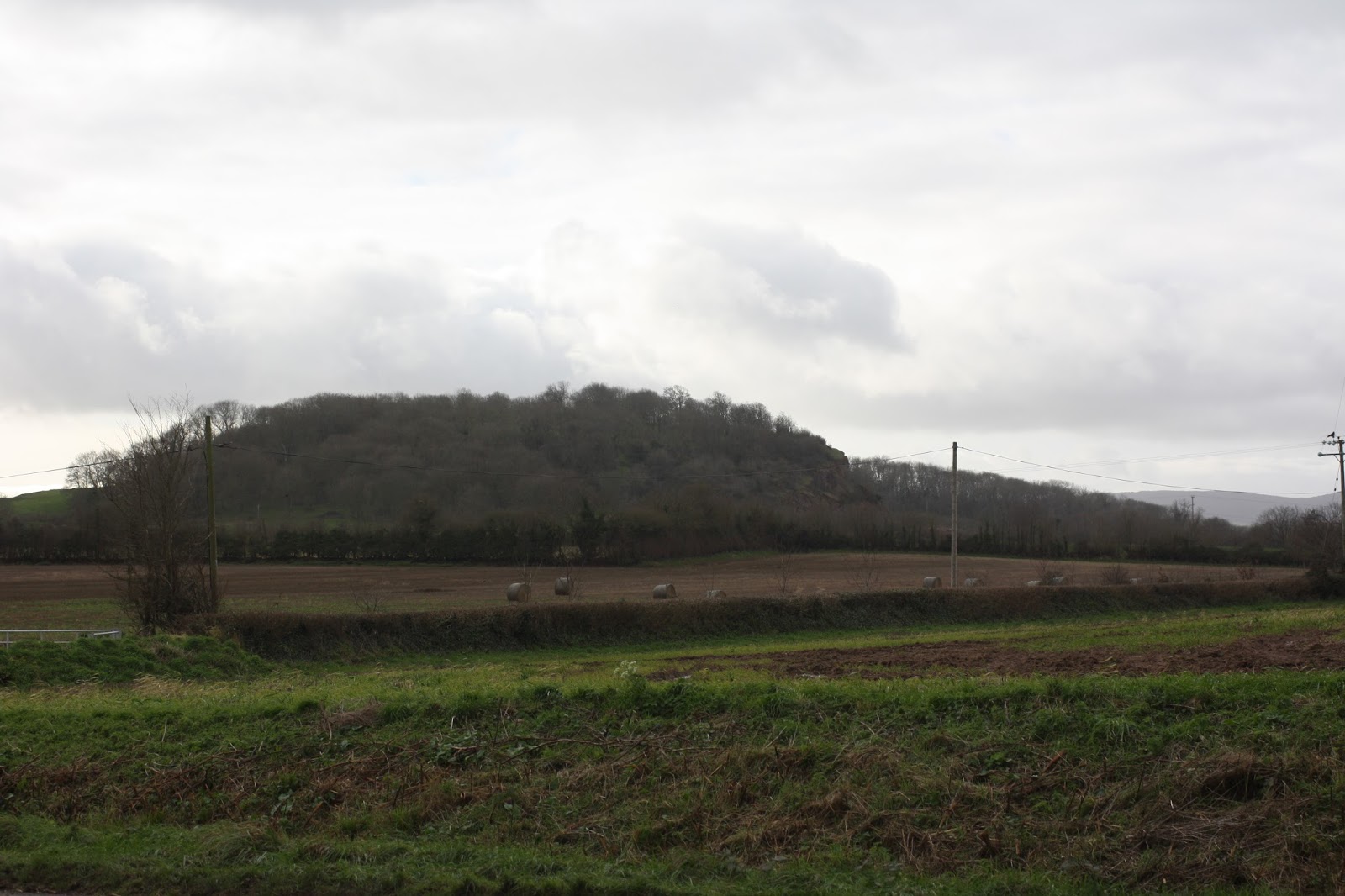 Views from Somerset: The Battle of Cynuit near Combwich in Somerset ...