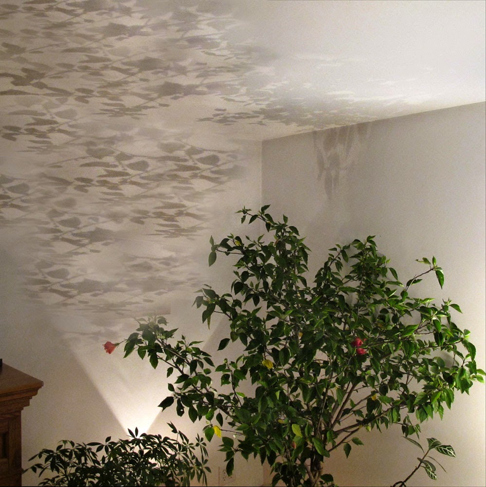 Steven D. Foster ~ Photographs : The Departing Landscape website: Still ...