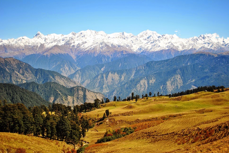 high altitude meadow "Dayara Bugyal"
