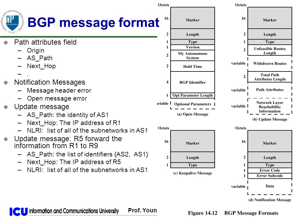 Networking And Scripting : BGP "IMP" NOTES