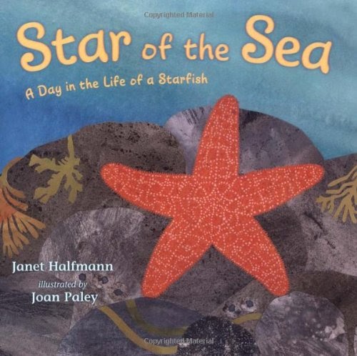 The Nonfiction Detectives: Star of the Sea: A Day in the Life of a Starfish