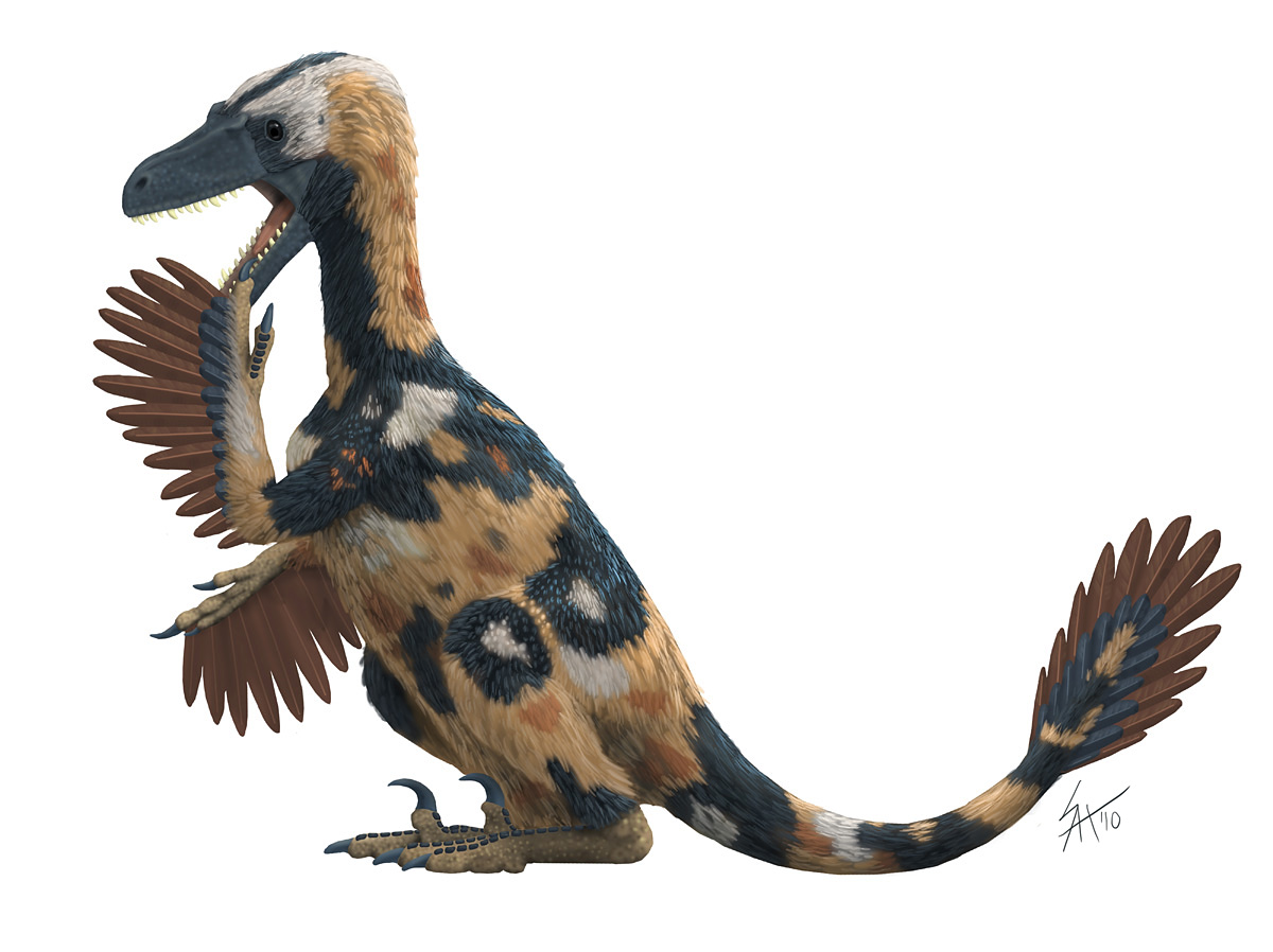 Prehistoric Beast of the Week: Interview with Artist and Paleontologist ...