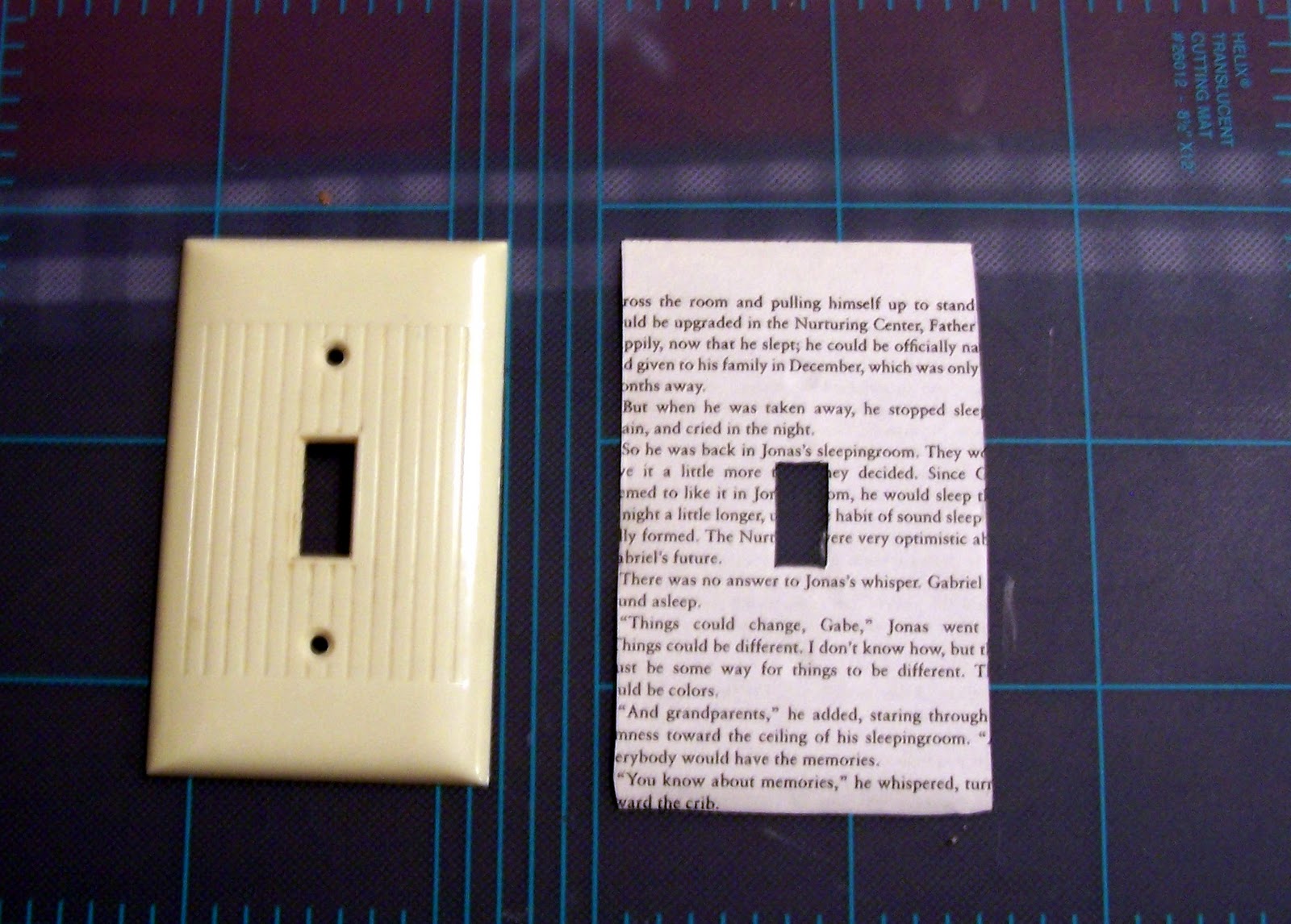 The life of a not so desperate housewife: Book light switch covers
