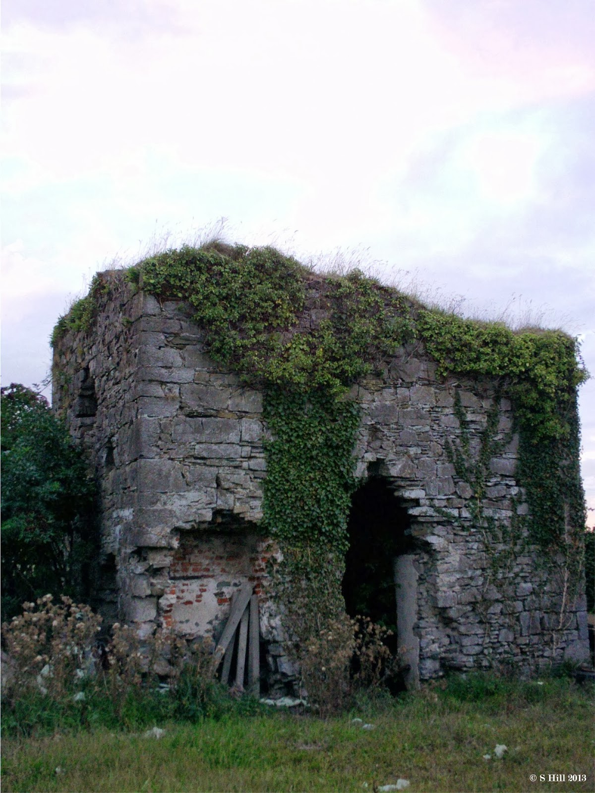 Ireland In Ruins: Newcastle Lyons Castle Co Dublin