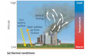 Anderson's APES: Thermal Inversion